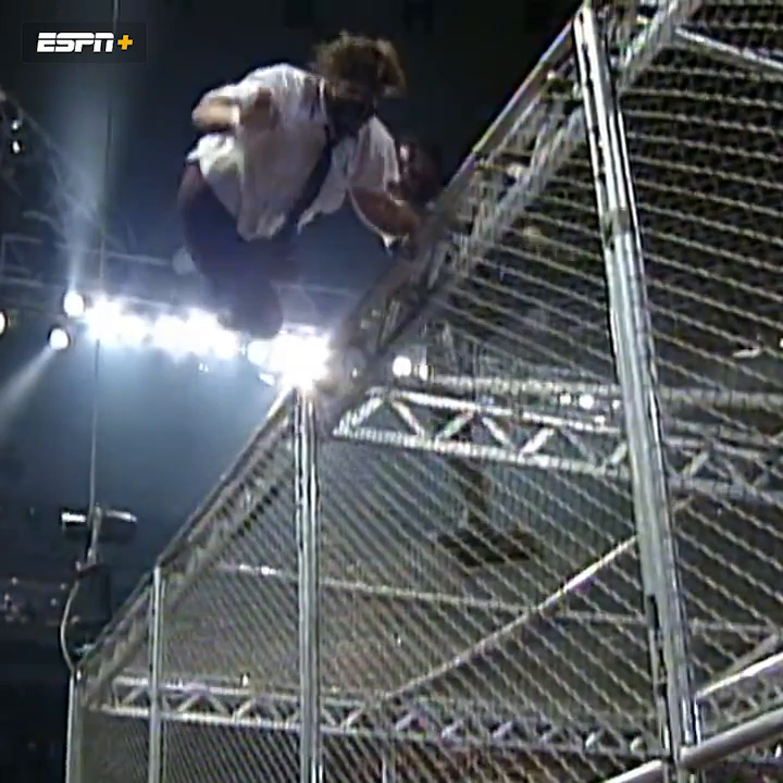 Hell In A Cell Mankind