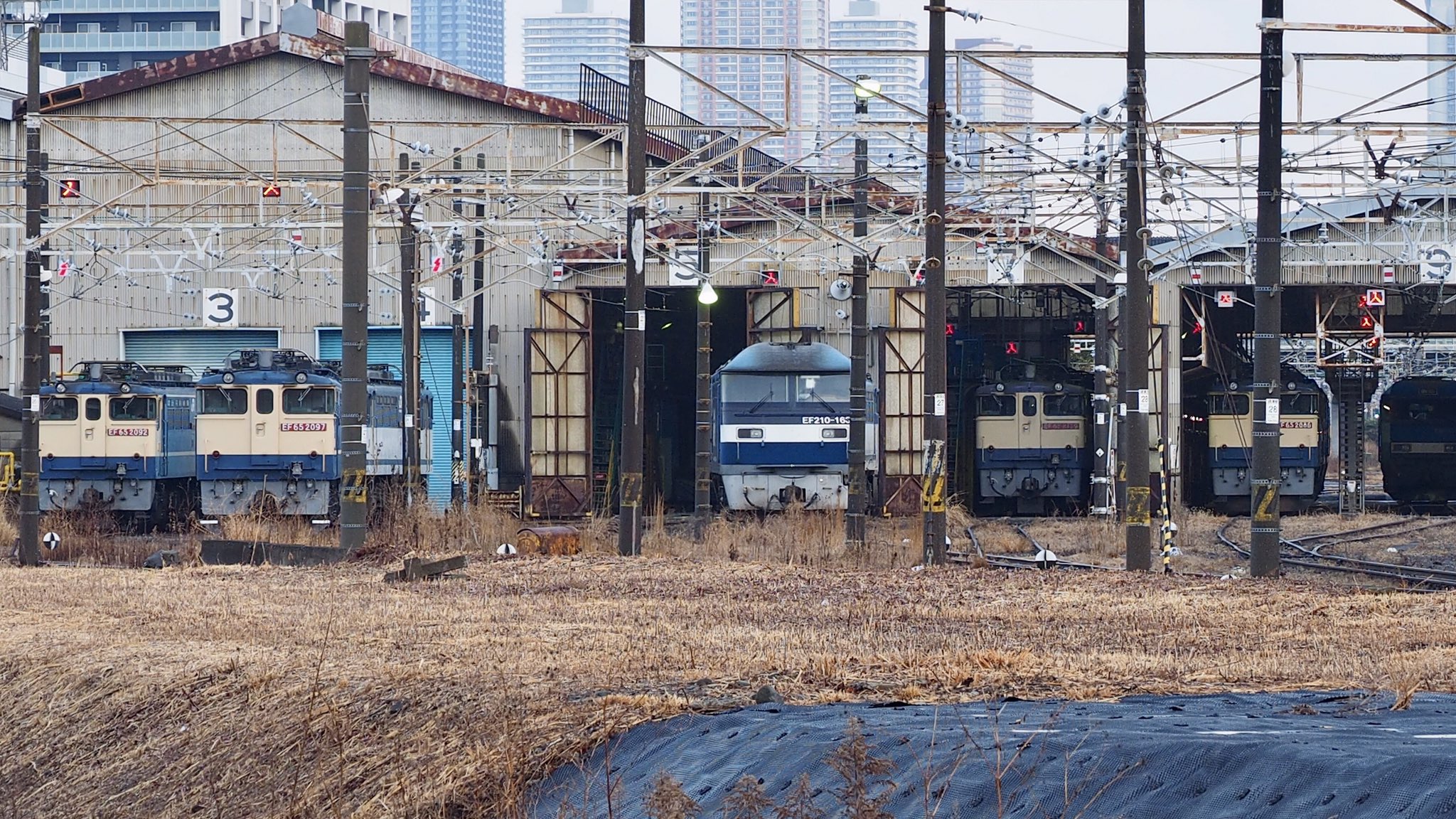 OJゲージ鉄道模型管理局 上野機関区 on Twitter: "2022年2月11日 新鶴見機関区、機関庫南側にはEF65PFが集まっていました。 2060 2063 2086 2092 ...
