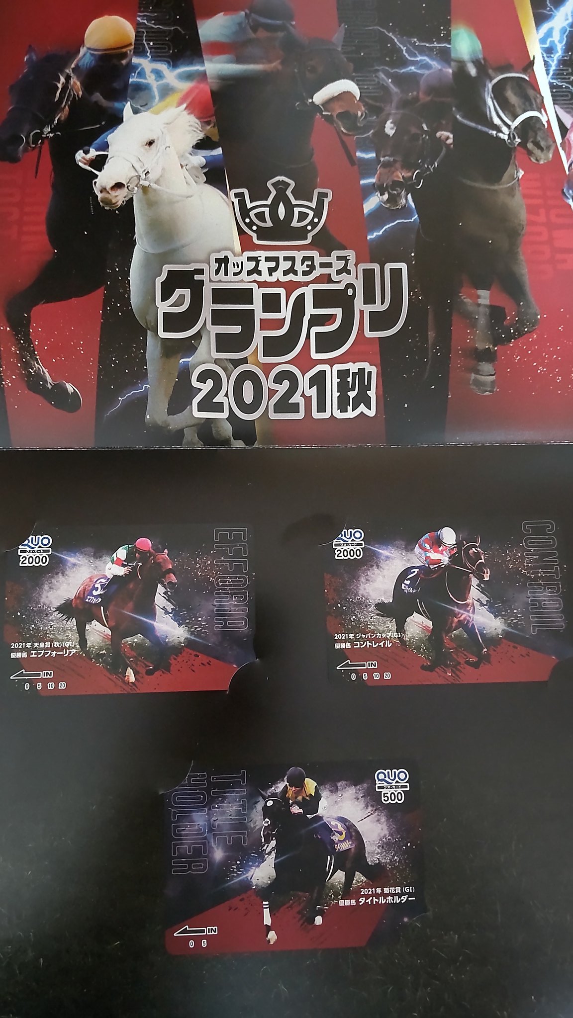 JRA電話投票限定DVD 非売品 解説レース実況付き - その他