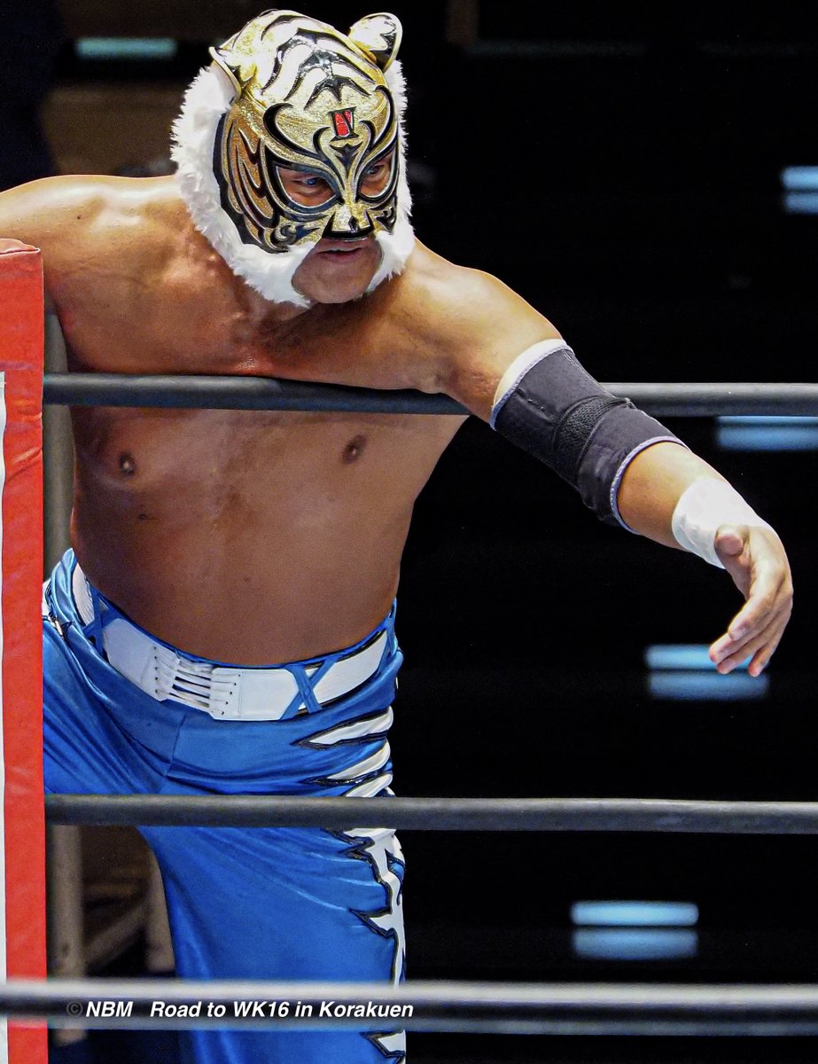 Tiger Mask Wrestler Iv