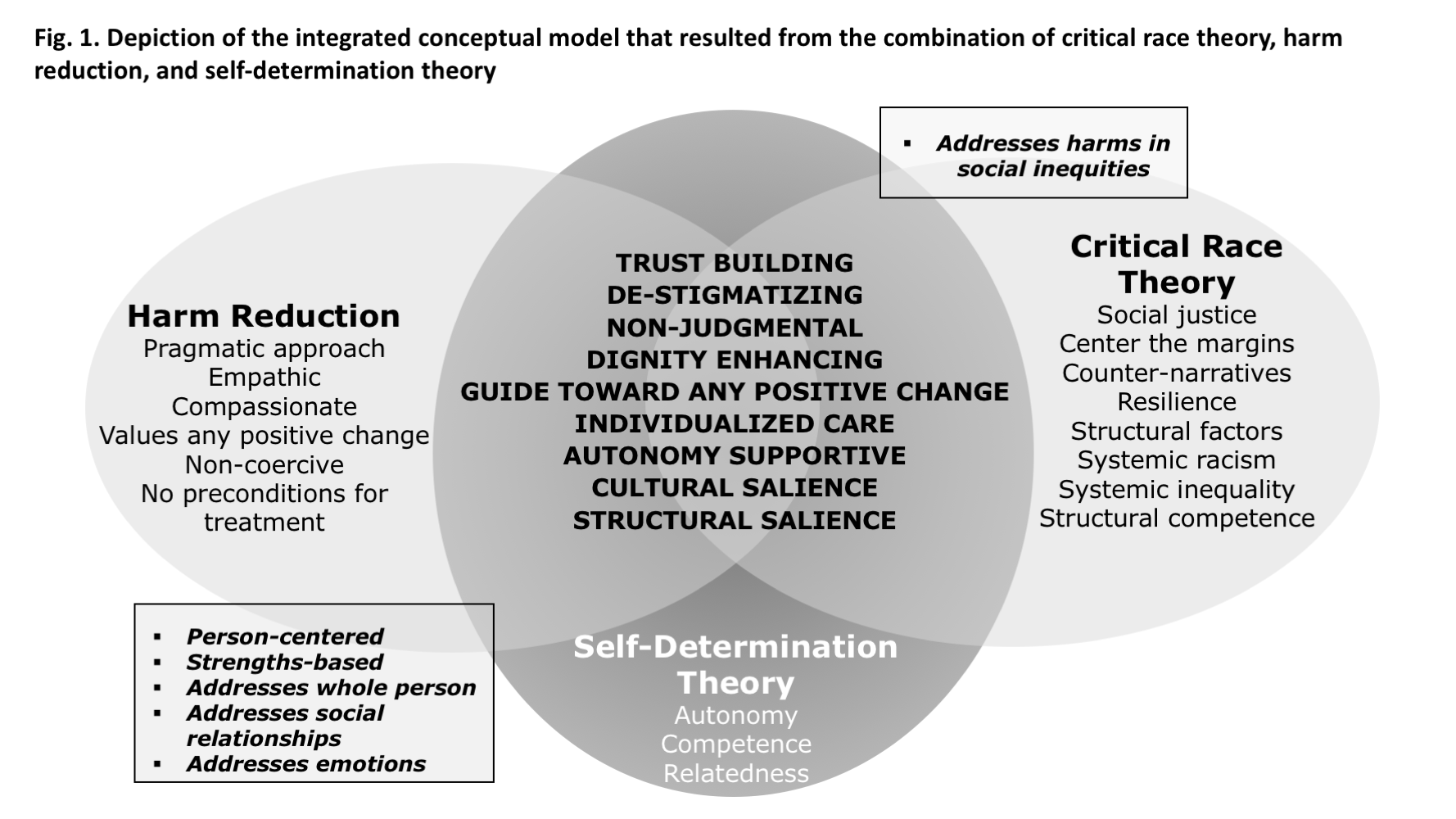 Harm Reduction Theory