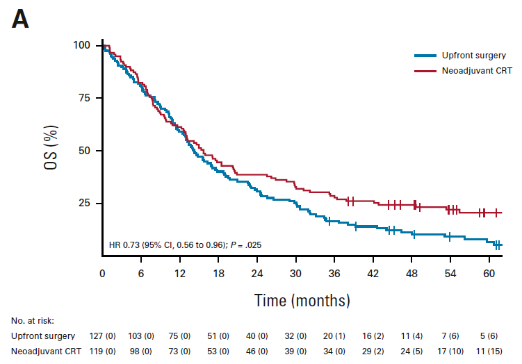 Filip Bednar's Threads – Thread Reader App
