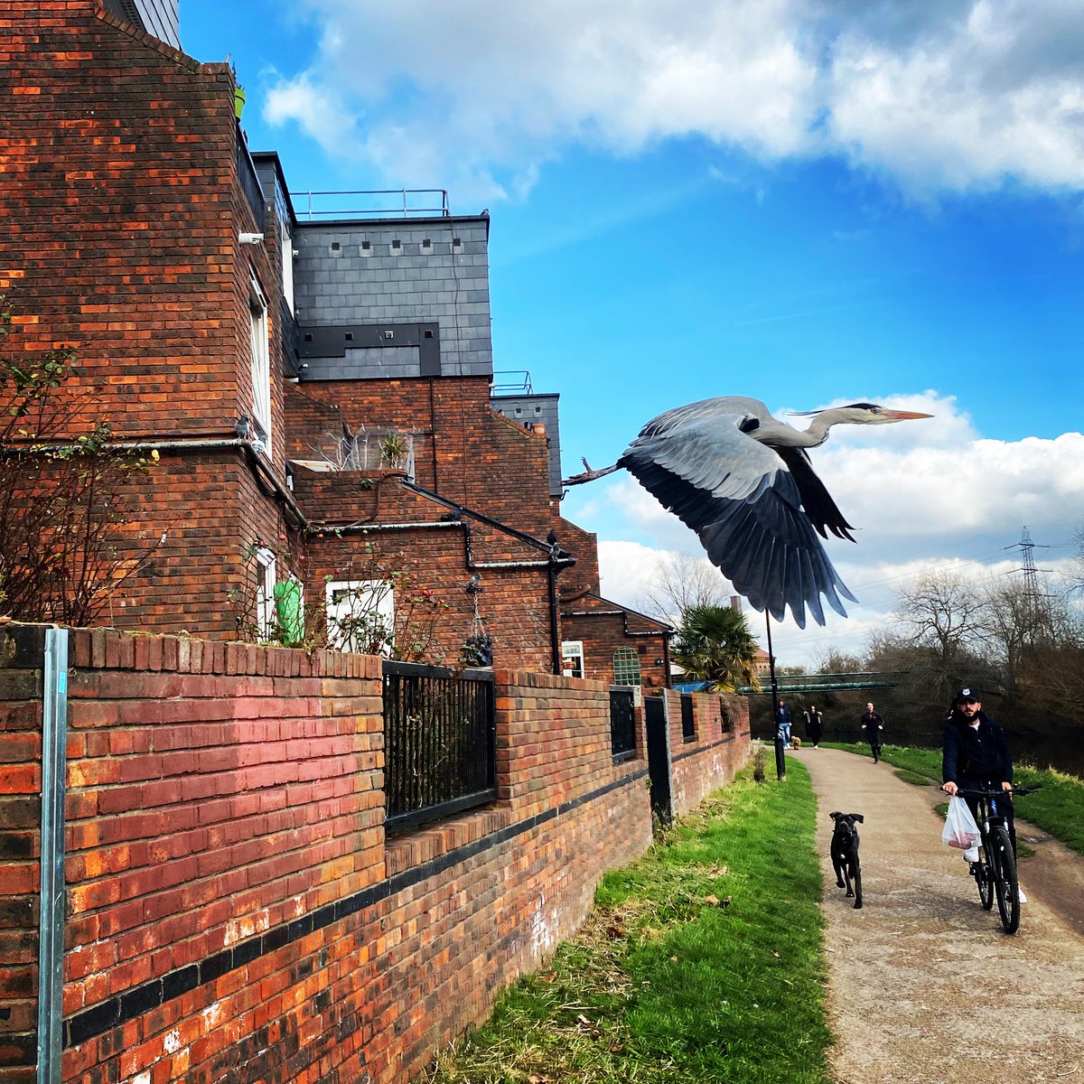 Sevan Minassian (@DARTAG) | Twitter