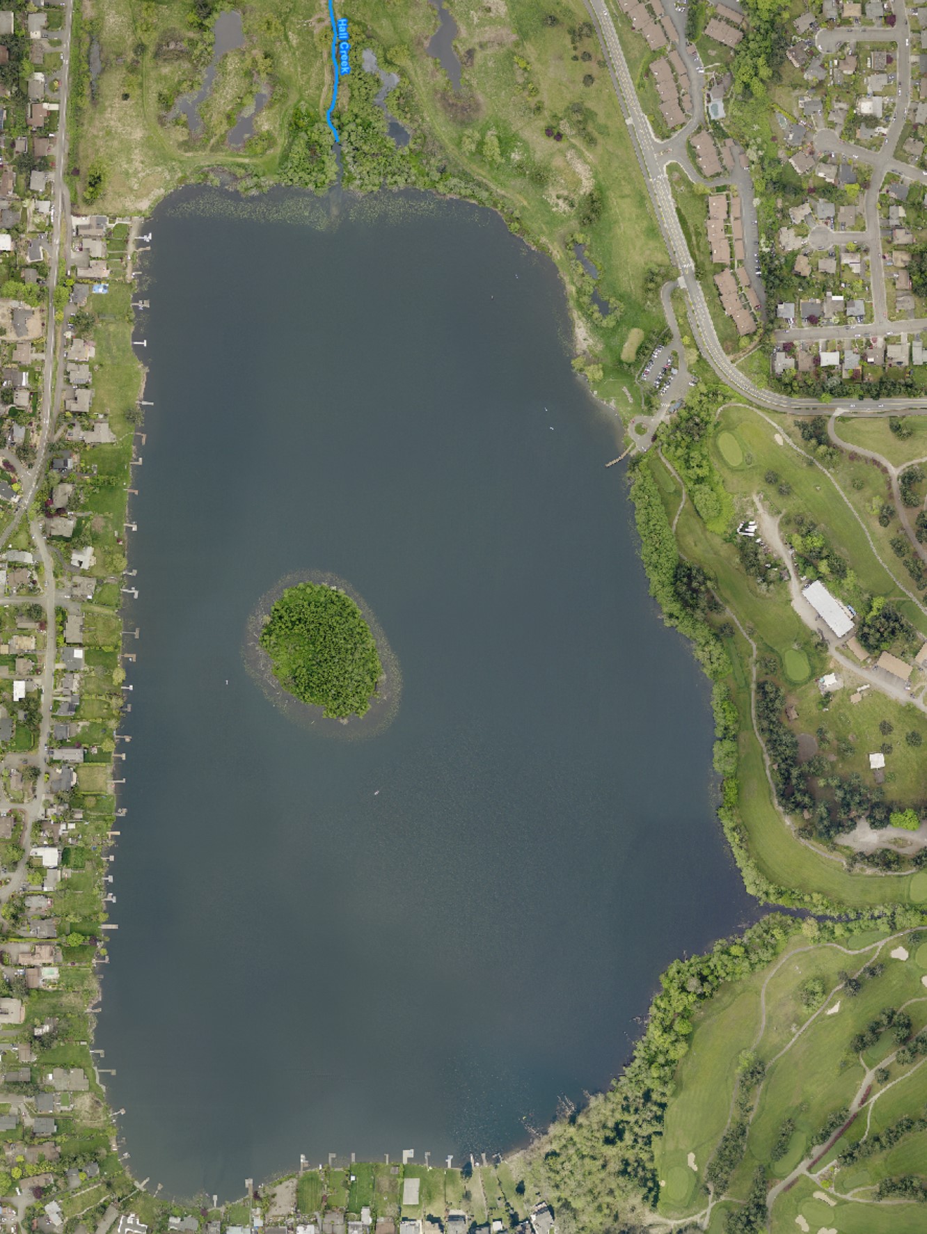 Are Dogs Allowed At Ballinger Park