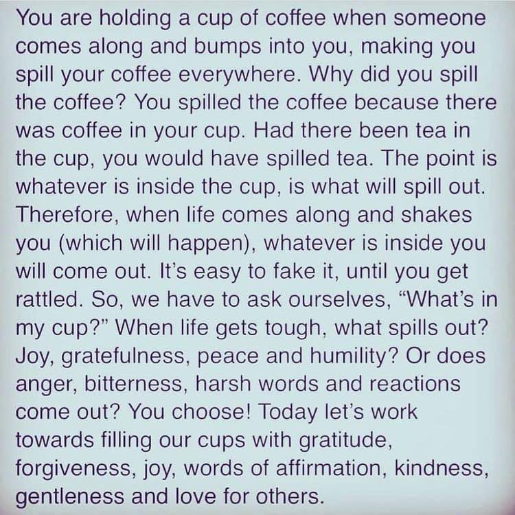 TW Pornstars - Ariel X. Twitter. What’s in your cup. 11:50 PM - 11 Feb 2022