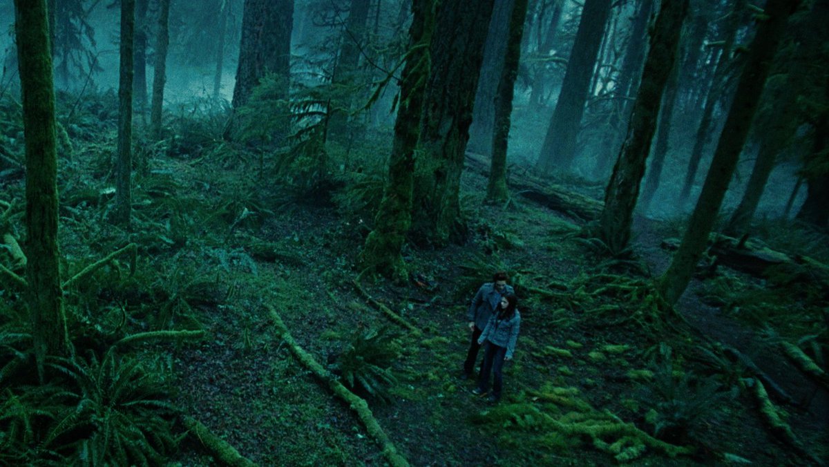 Twilight Movie Scenes Woods