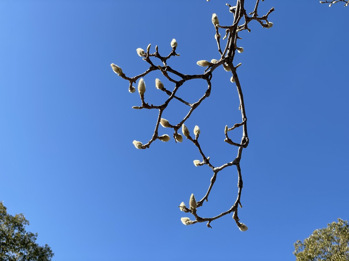 joy𓍯𖤣𓃠𓇬 ⢄𓈒꙳ (@_joy_infinity) | Twitter