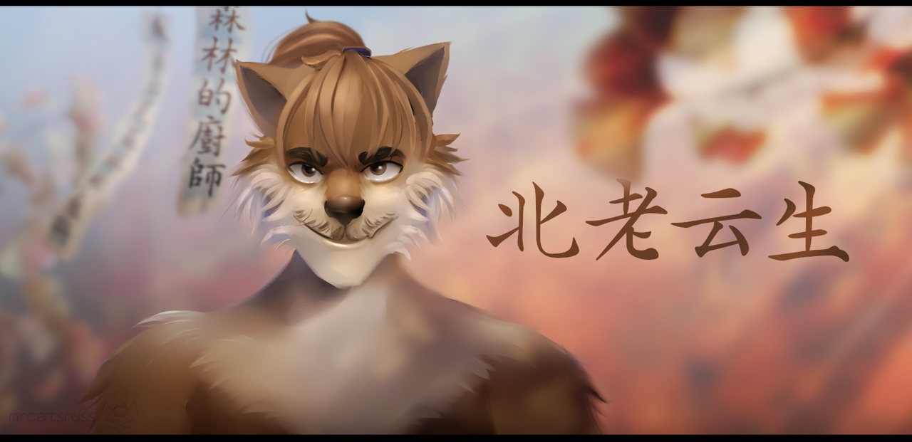 Koala Kiel (@Koala_Kiel) / Twitter