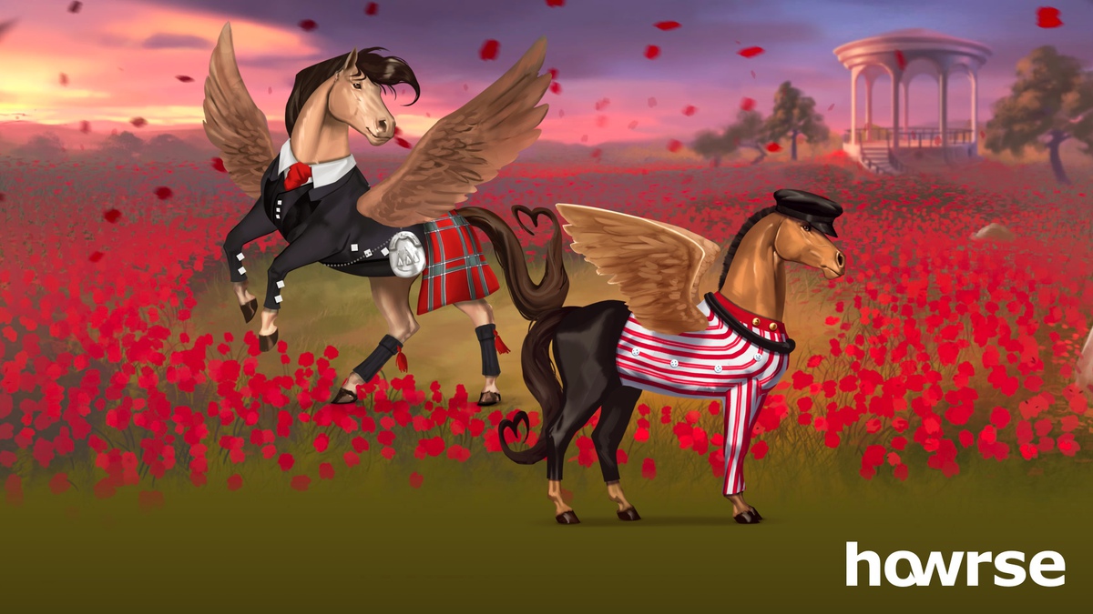 My Photos Of My Horses On Howrse