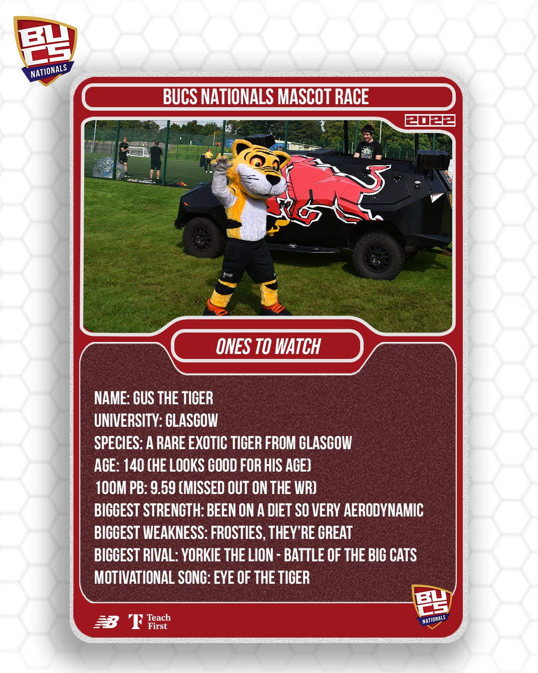 Gus The Tiger