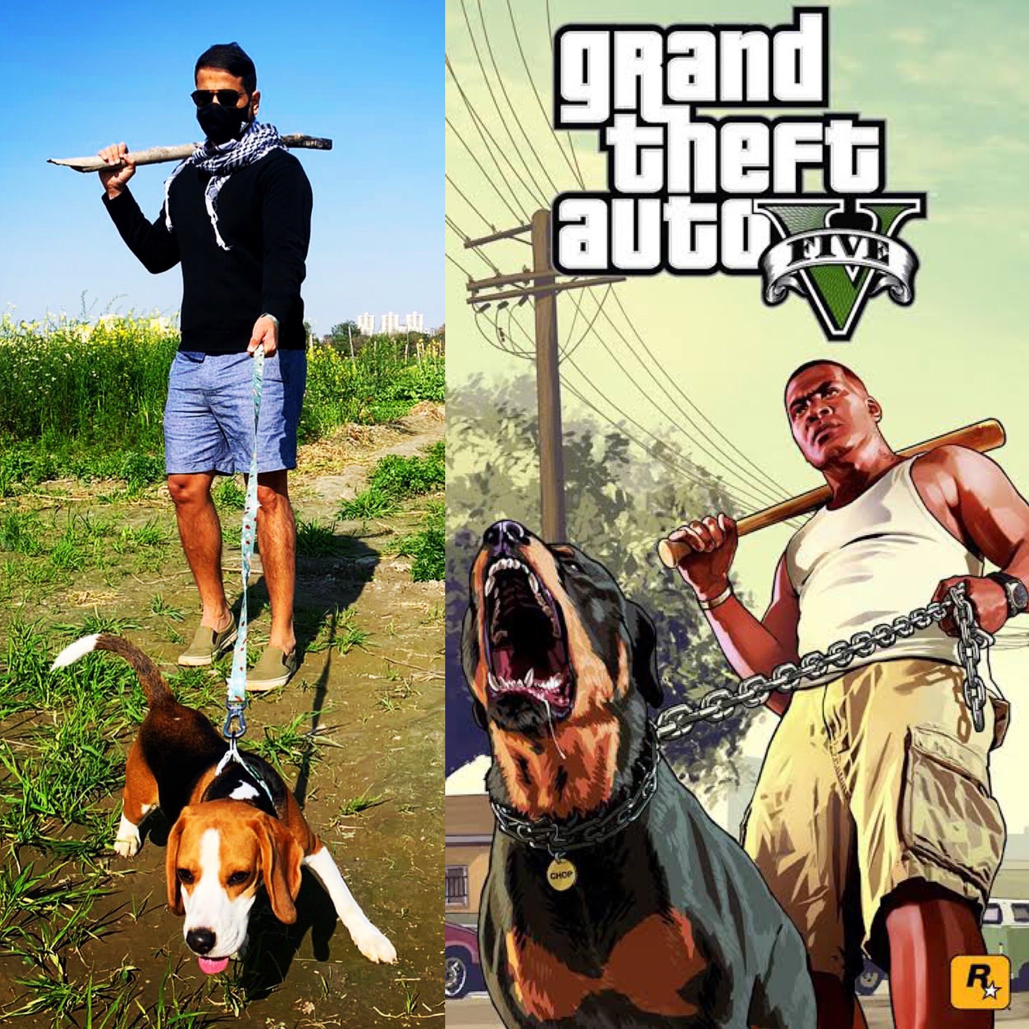 Gta 5 Dog Wallpaper