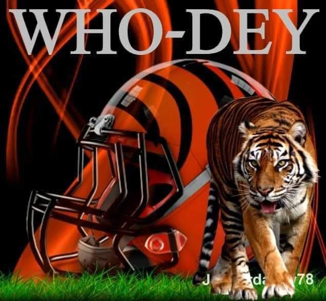 Who Dey Bengals Wallpaper