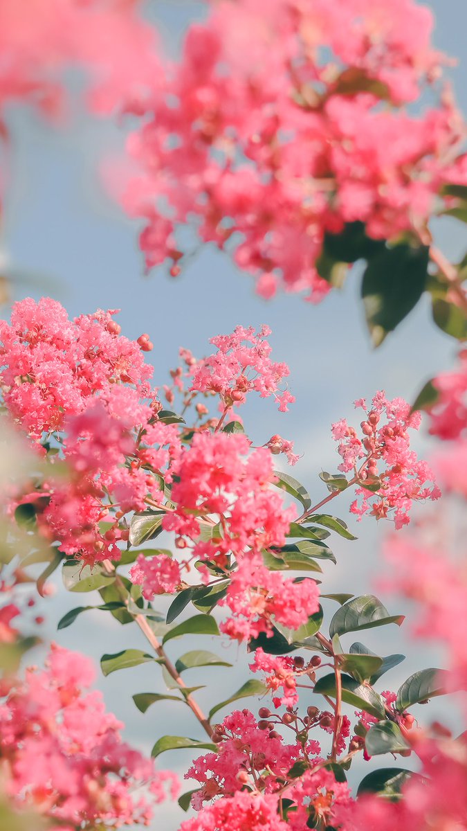 Tejash Malviya (@Tejash_Malvi) | Twitter