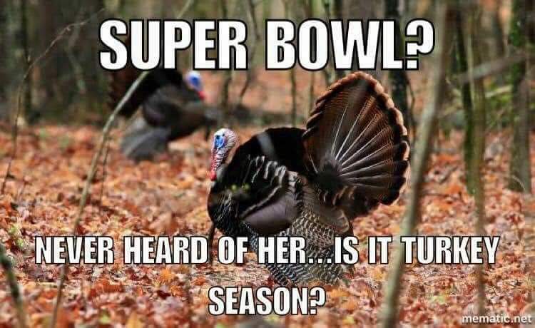 Funny Turkey Hunting Quotes