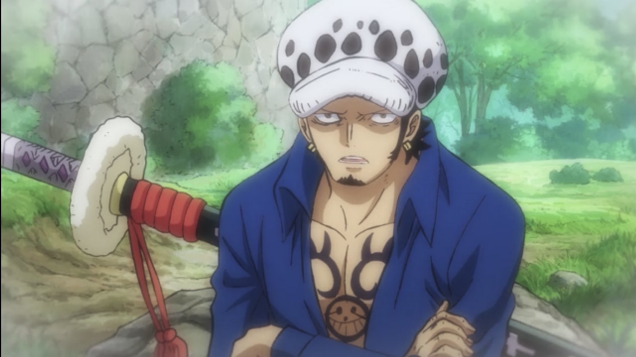 One Piece Law