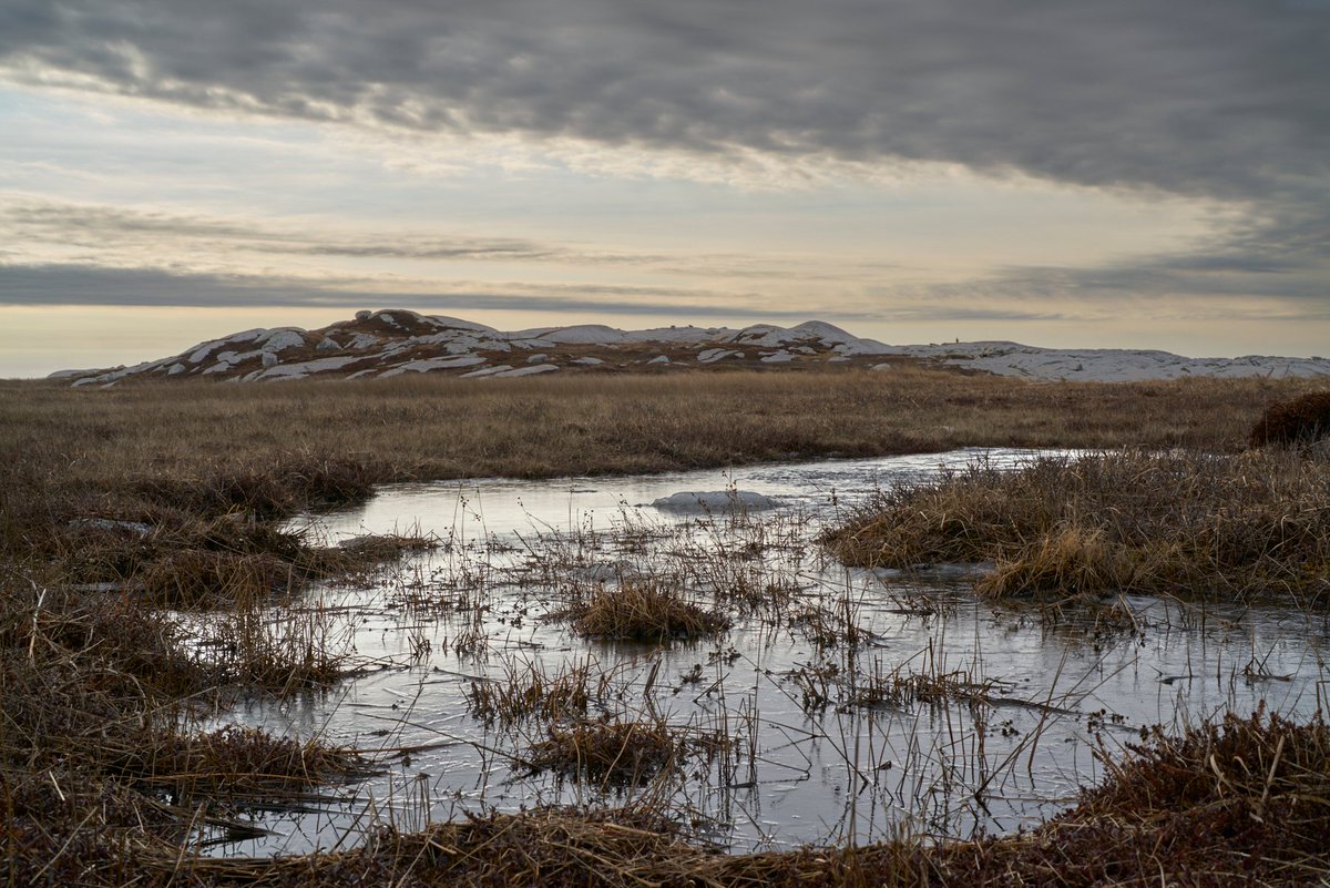 High Head Hiking Trail Map, Guide & 360° Virtual Tour | Halifax, NS
