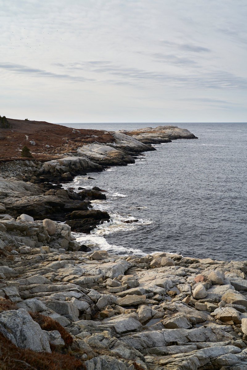 High Head Hiking Trail Map, Guide & 360° Virtual Tour | Halifax, NS