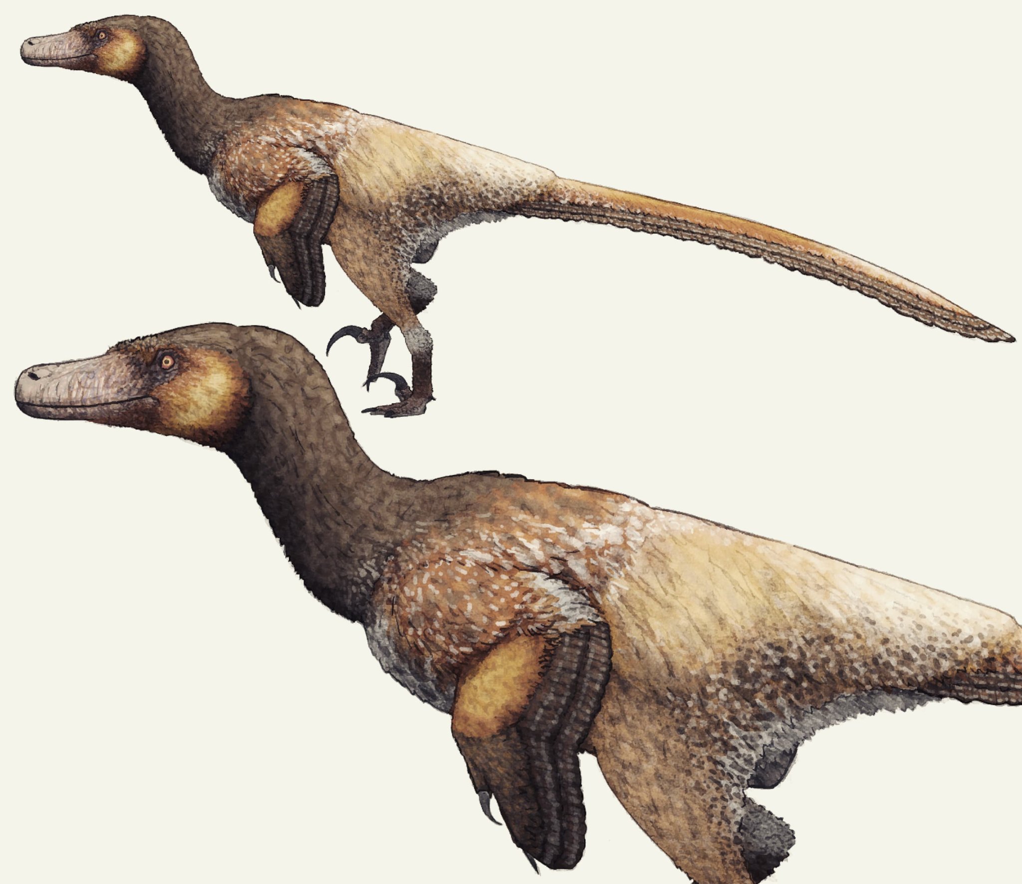 Velociraptor This New RAPTOR For Jurassic World Rebirth Looks Wild!