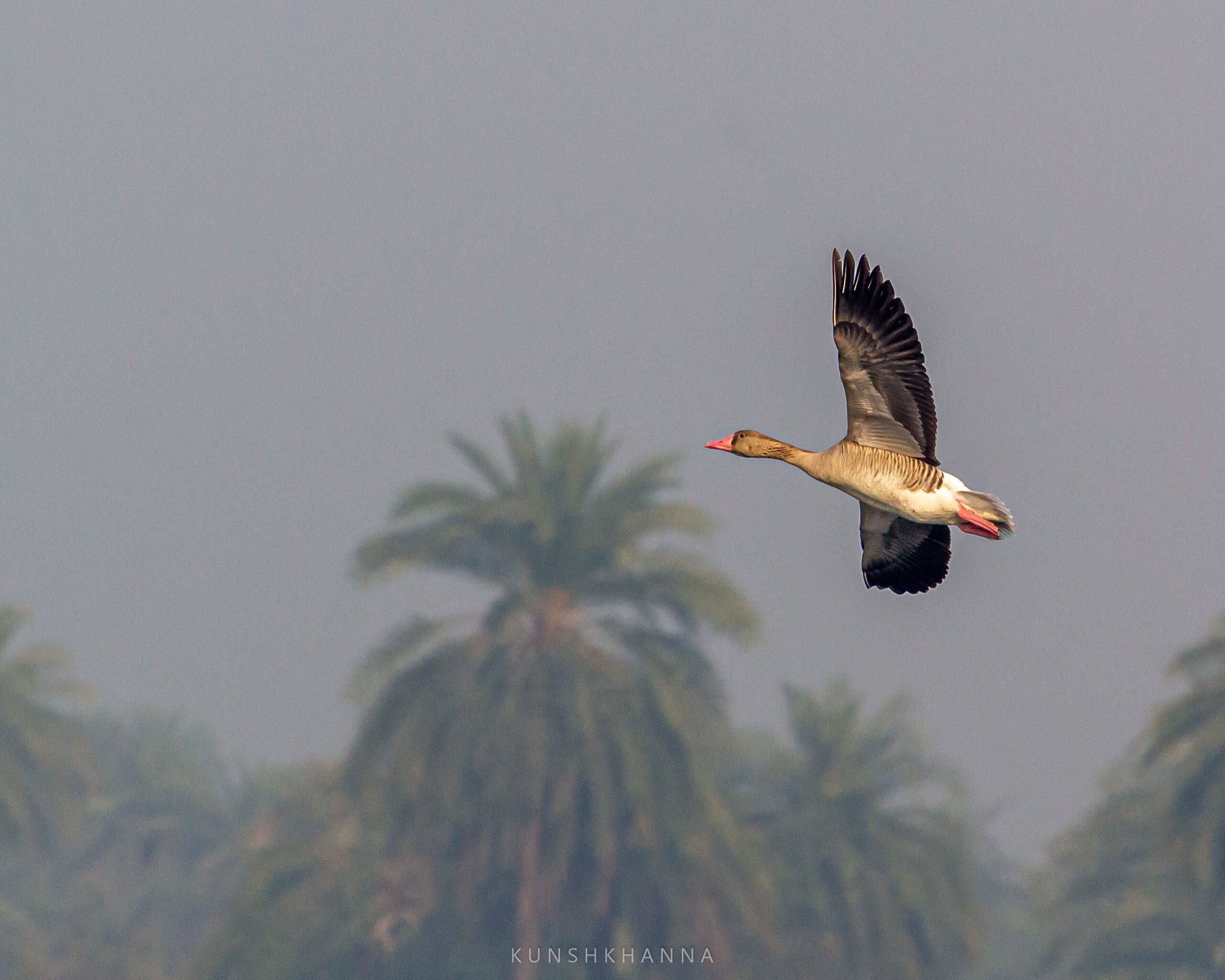 Kunsh Khanna (@KunshKhanna) / Twitter