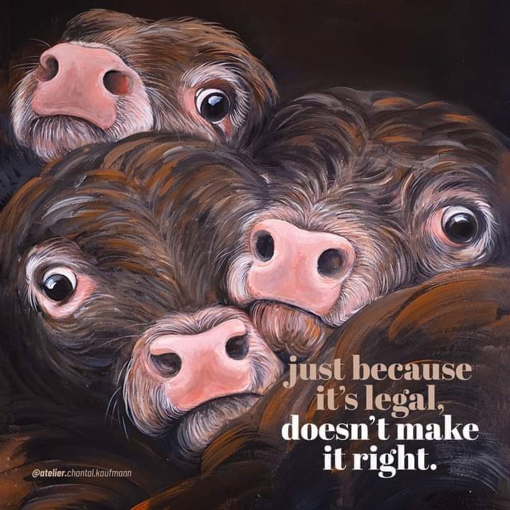 Ferdiz 🧃 (@ferdiz) | Twitter