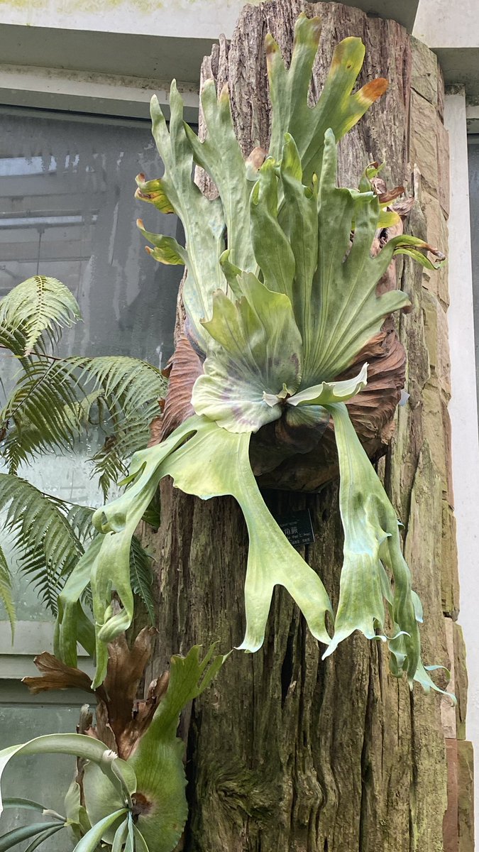 La_luna (@eleanor_guo) | Twitter