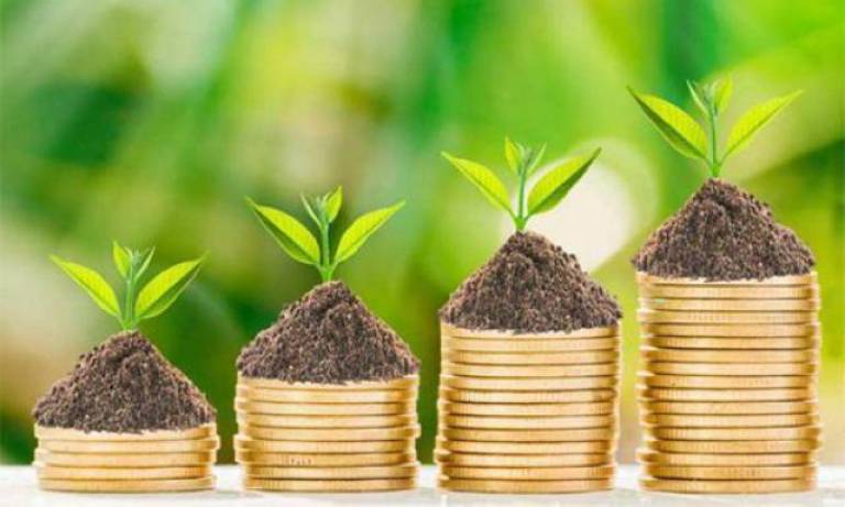 Zero Carbon Guildford (@ZeroGuildford) | Twitter