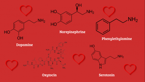 Chemical Structure Of Love