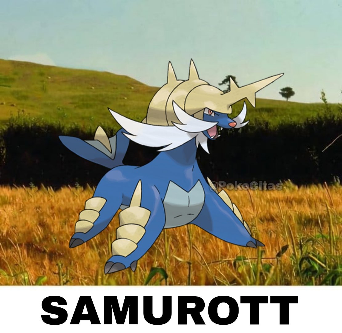 Samurott Memes