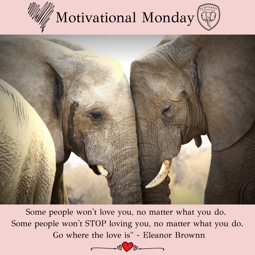 Elephant Motivation