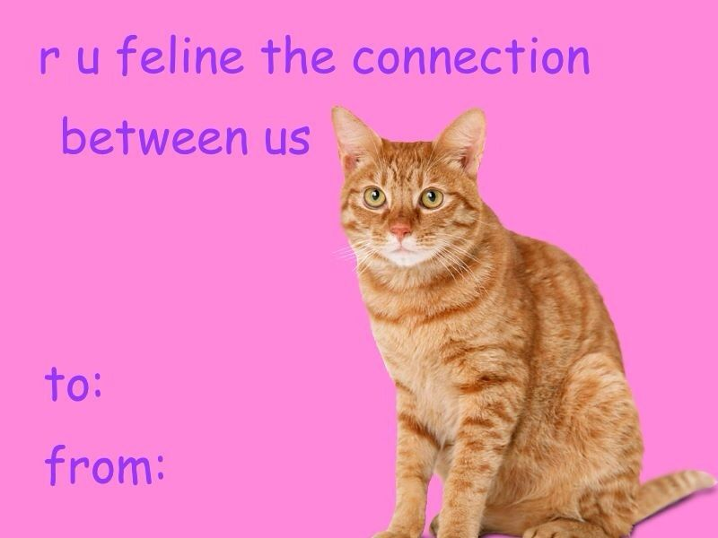 Funny Valentines Day Cards Twitter