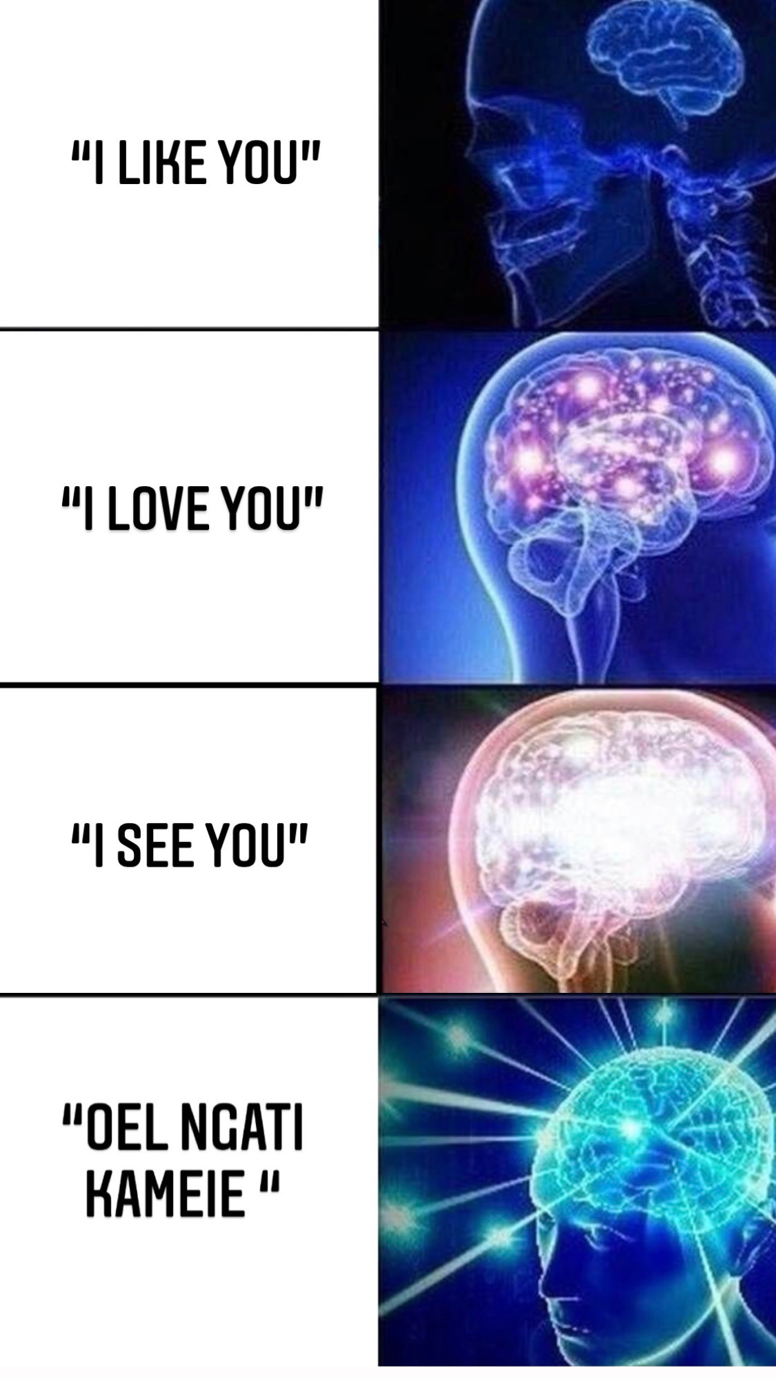 Avatar I See You Meme