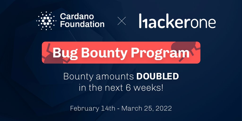 Cardano Foundation on Twitter: "🪲 Calling all #hackers - it's time to boost your hacktivity! We ...