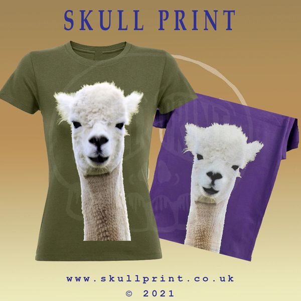Alpaca Skull