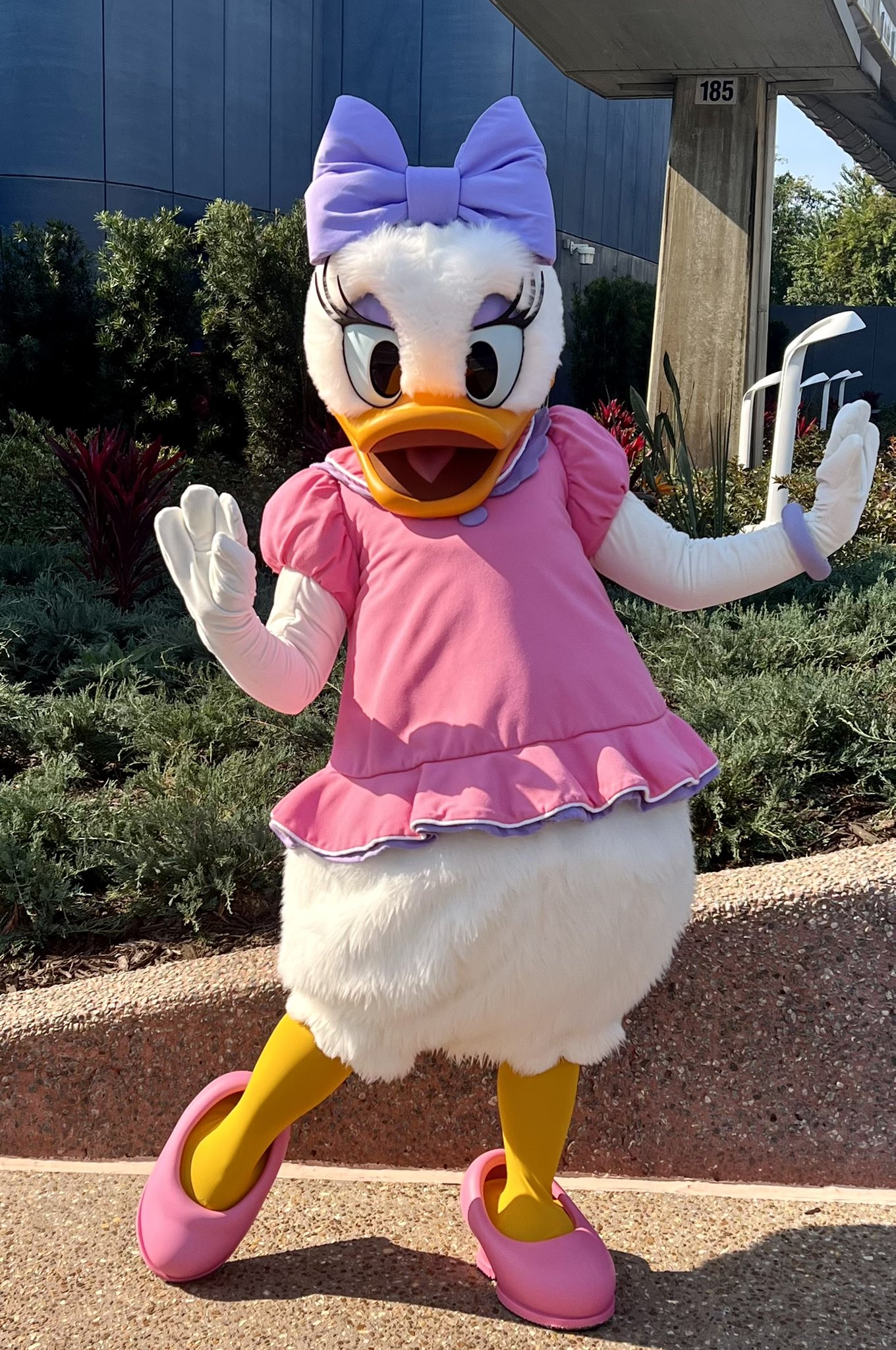 Daisy Duck Disney World