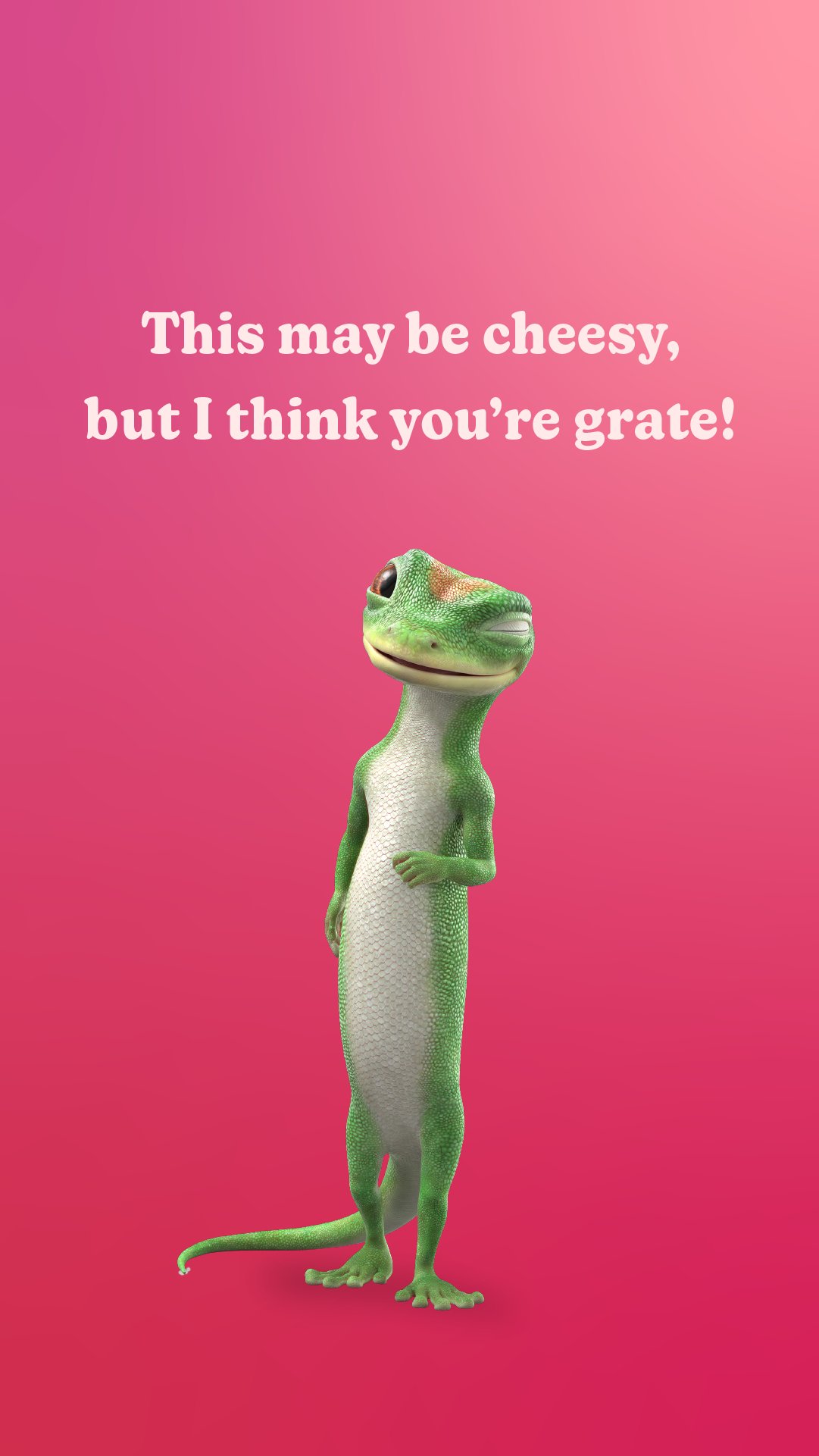 Geico Funny Signs