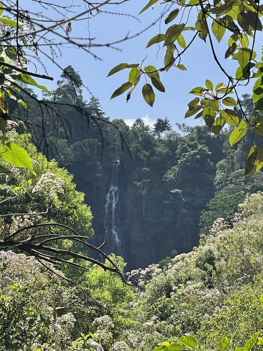 Did a road trip. Things to do in NYERI. 1. Zania Falls - Thread from ...