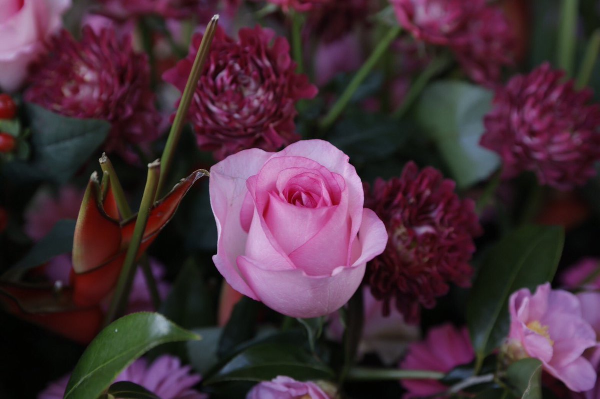 北野天満宮 北野文化研究所 (@kitano_bunka) | Twitter