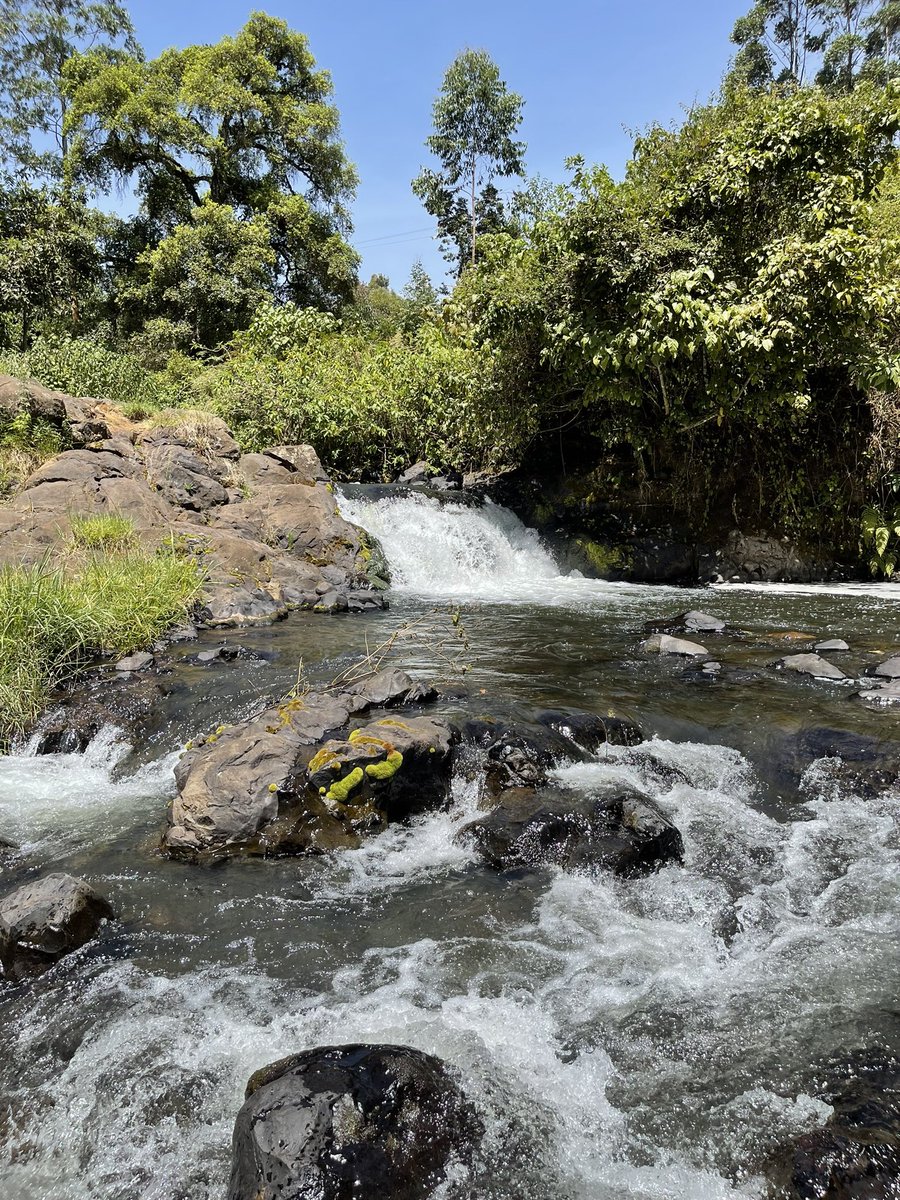 Did a road trip. Things to do in NYERI. 1. Zania Falls - المسلسل من ...