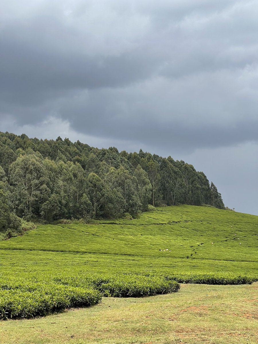 Did a road trip. Things to do in NYERI. 1. Zania Falls - المسلسل من ...