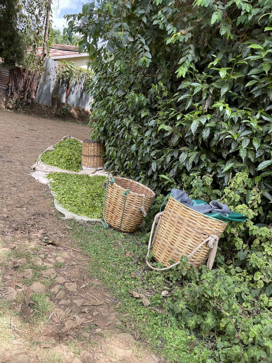 Did a road trip. Things to do in NYERI. 1. Zania Falls - المسلسل من ...