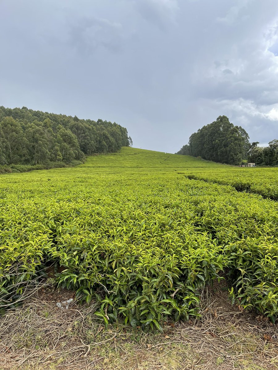 Did a road trip. Things to do in NYERI. 1. Zania Falls - المسلسل من ...