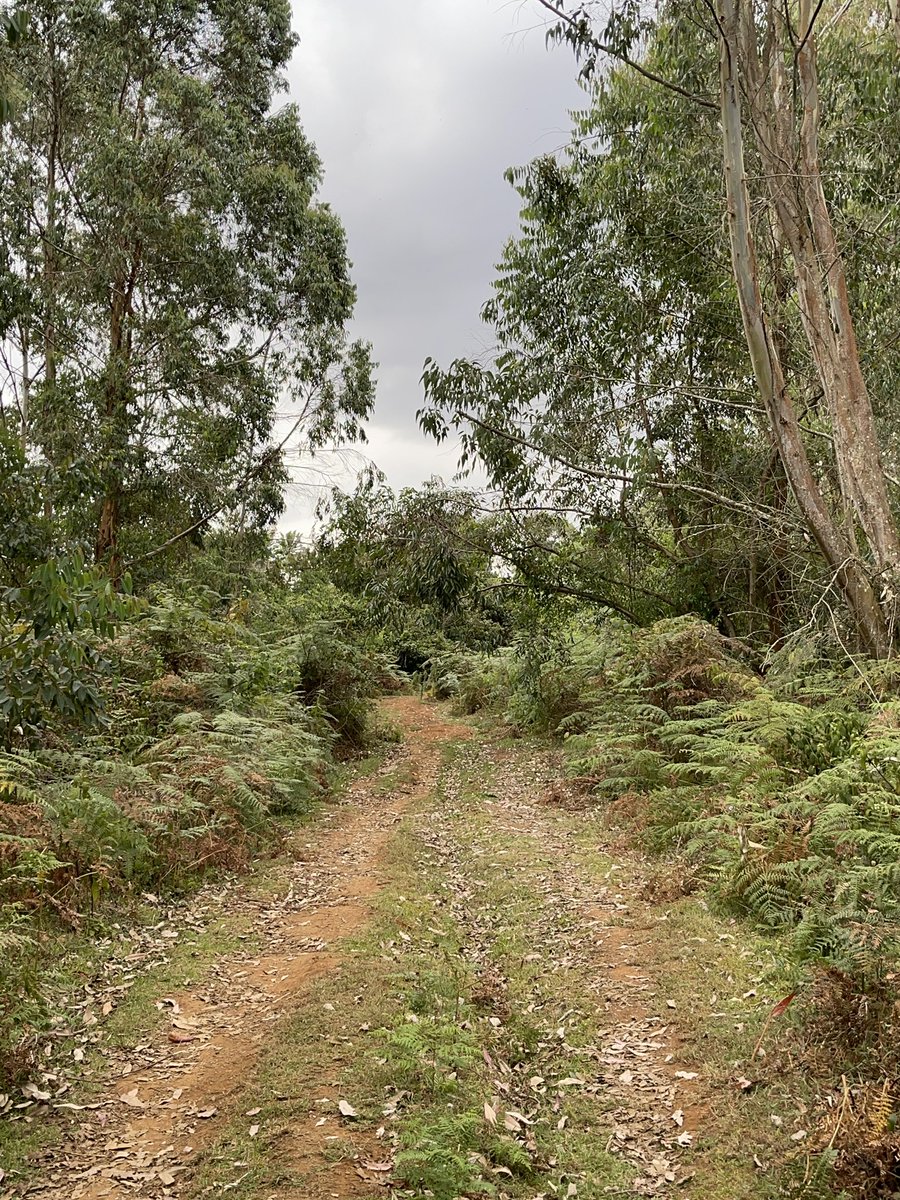 Did a road trip. Things to do in NYERI. 1. Zania Falls - المسلسل من ...