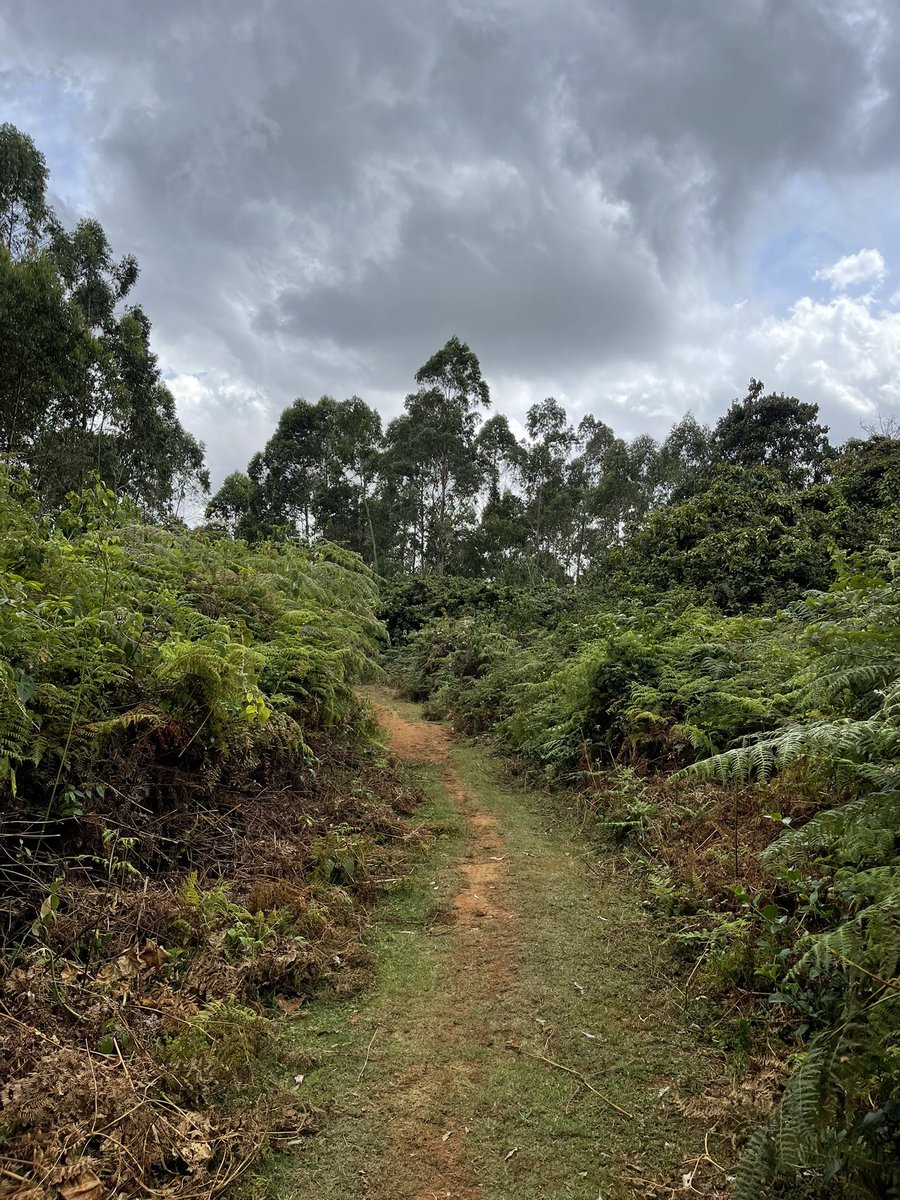 Did a road trip. Things to do in NYERI. 1. Zania Falls - المسلسل من ...