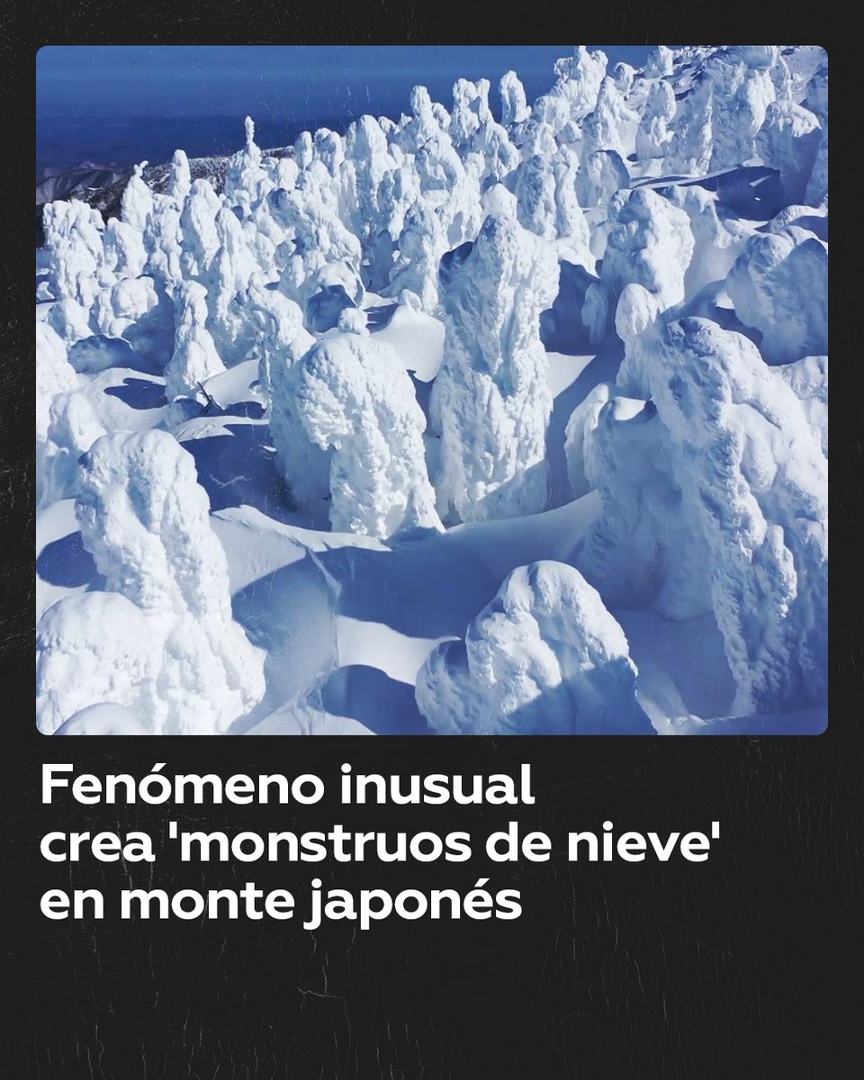 Las curiosas figuras conocidas como 'monstruos de nieve' se formaron en ...