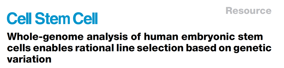 Florian Merkle's Threads – Thread Reader App