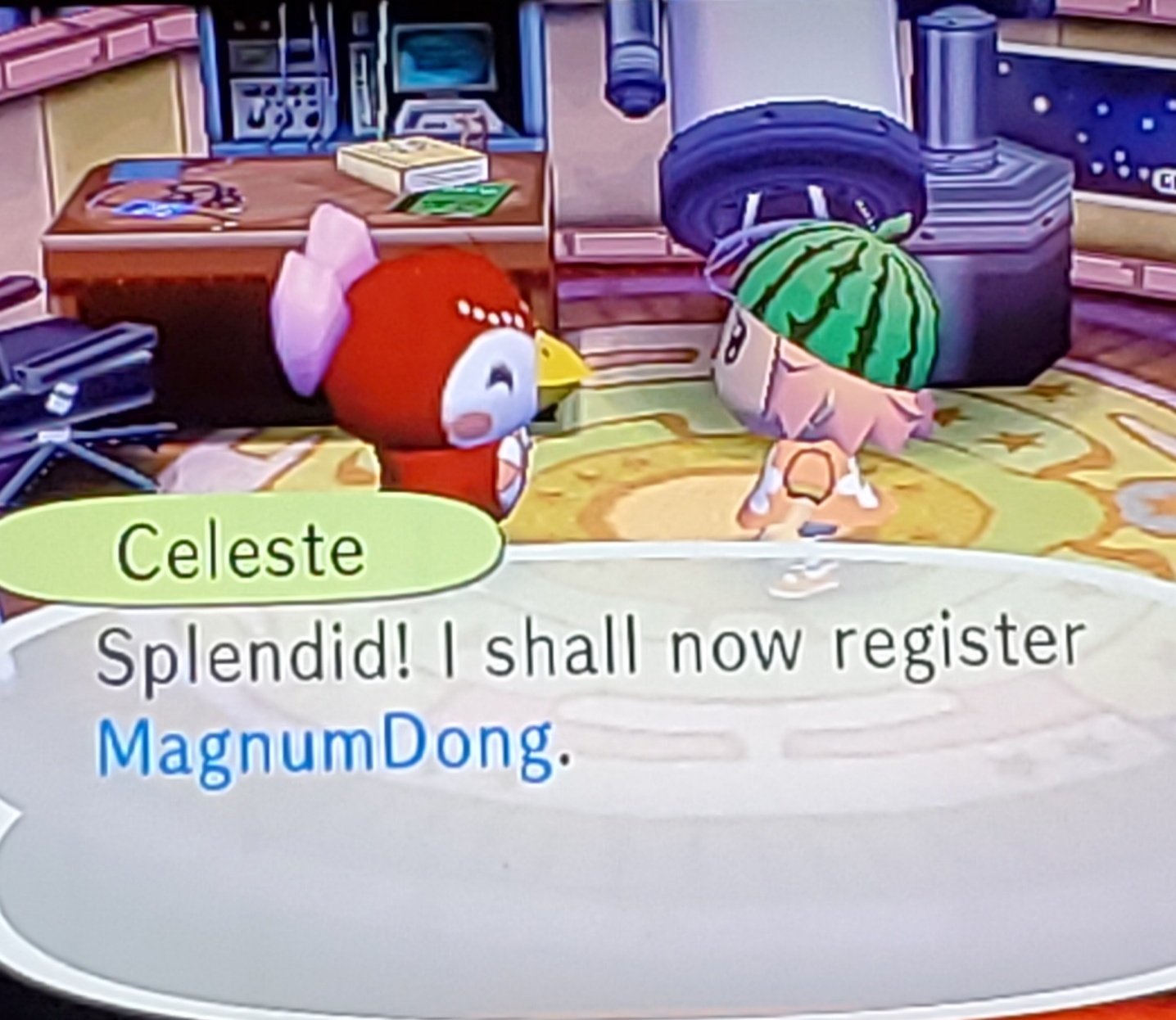 TW Pornstars - 2 pic. Randa Rice🍚🍙💕. Twitter. can we pretend that ...