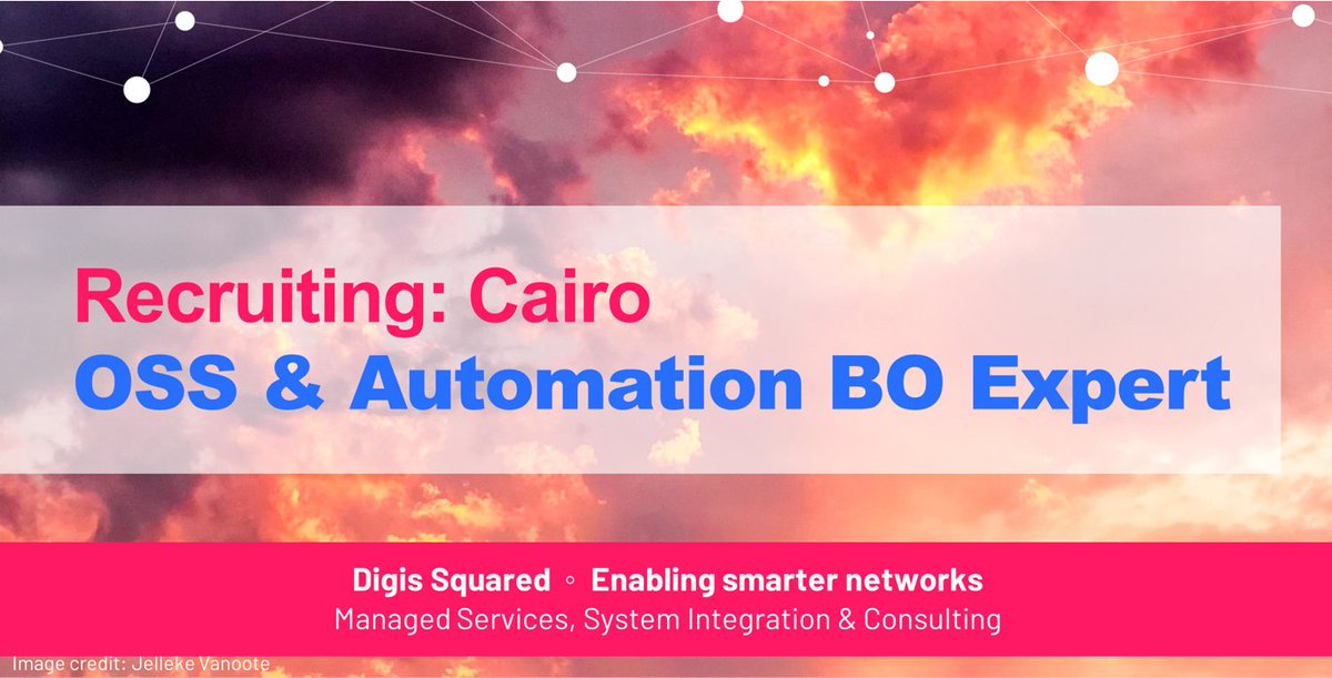 Digis Squared (@digissquared) | Twitter