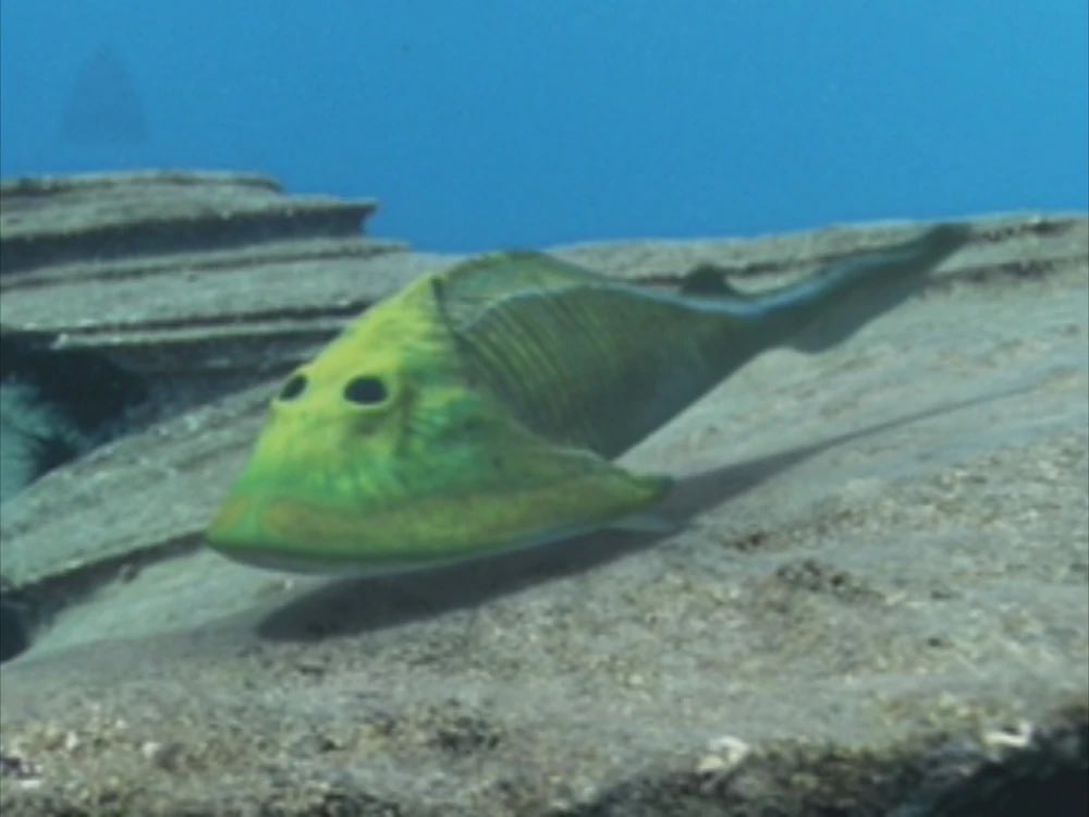 Brontoscorpio Walking With Monsters