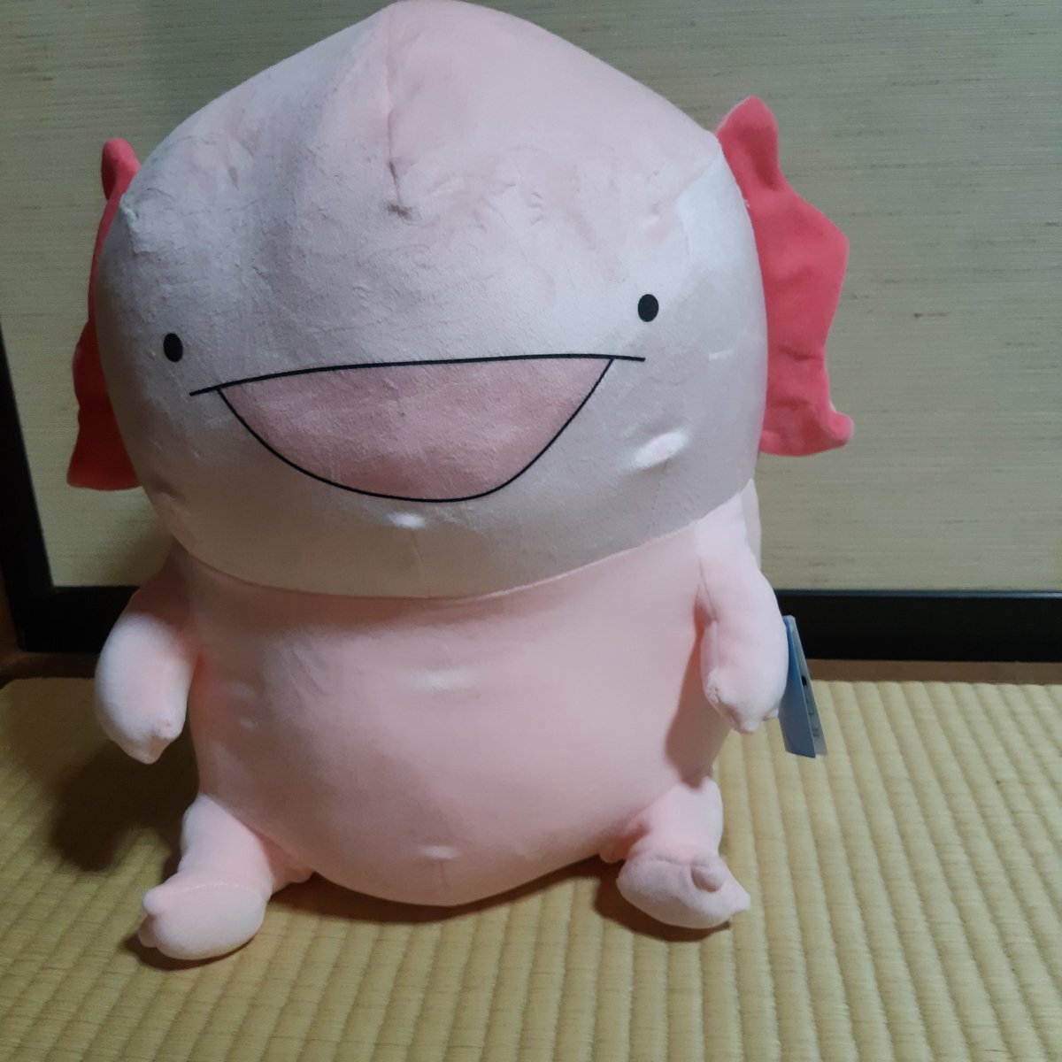 さーやん (もっちゃん) (@0621_mocchan) | Twitter