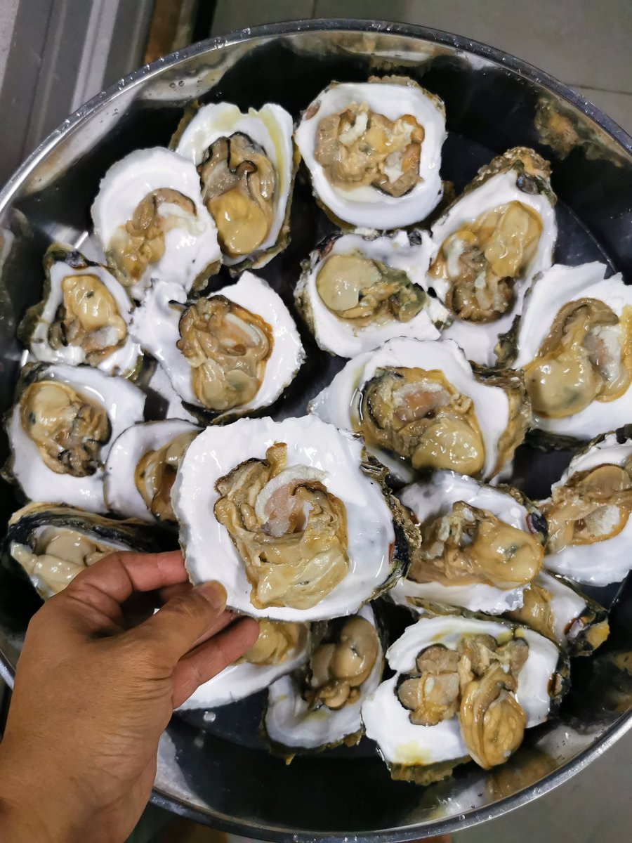 吃完这些 今晚精冲脑👊👊 engeng夫妻 @engengchoon